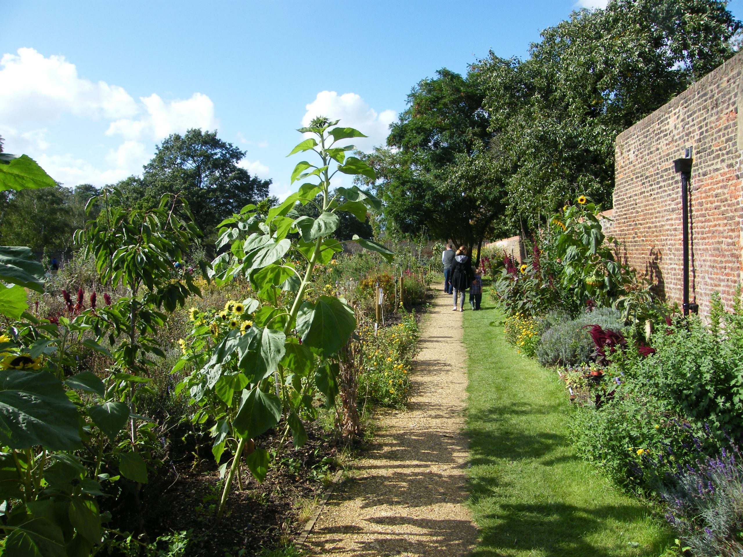 An Update from our Chairman - Chiswick House & Gardens