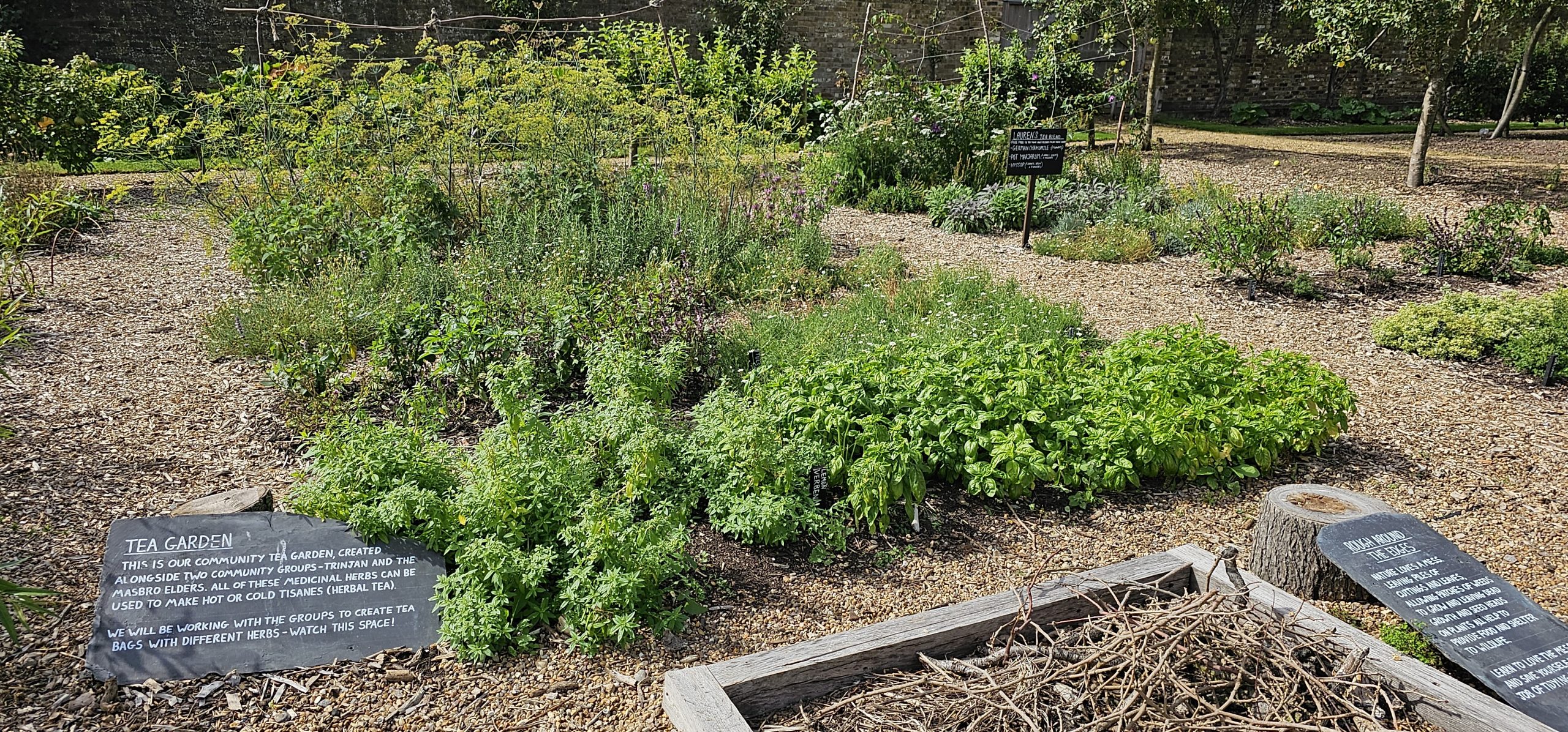 Co-Creating a Tea and Edible Flower Garden with our Community ...
